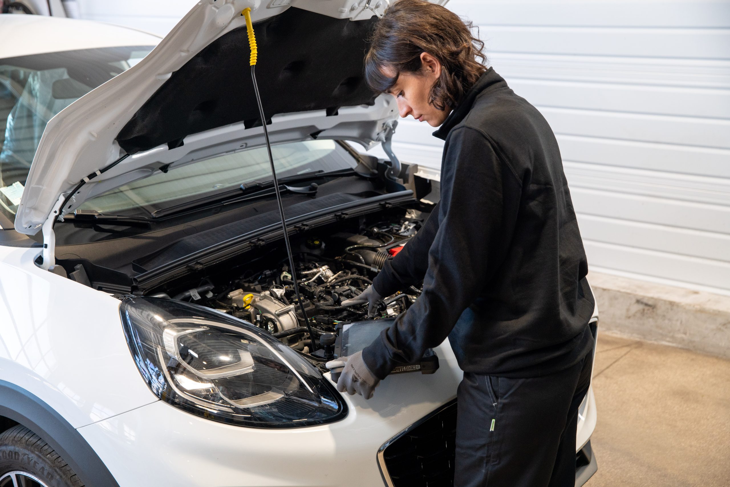 Feu Vert lance sa campagne de recrutement en alternance pour 2024 ...